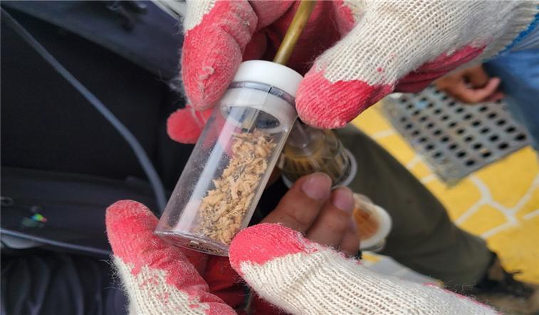 cpbc News : 창원 외래 흰개미, 최소 10년 전 국내 유입 추정