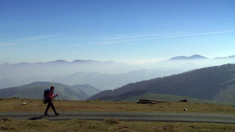 cpbc News : [독자마당] 살아가는 날들