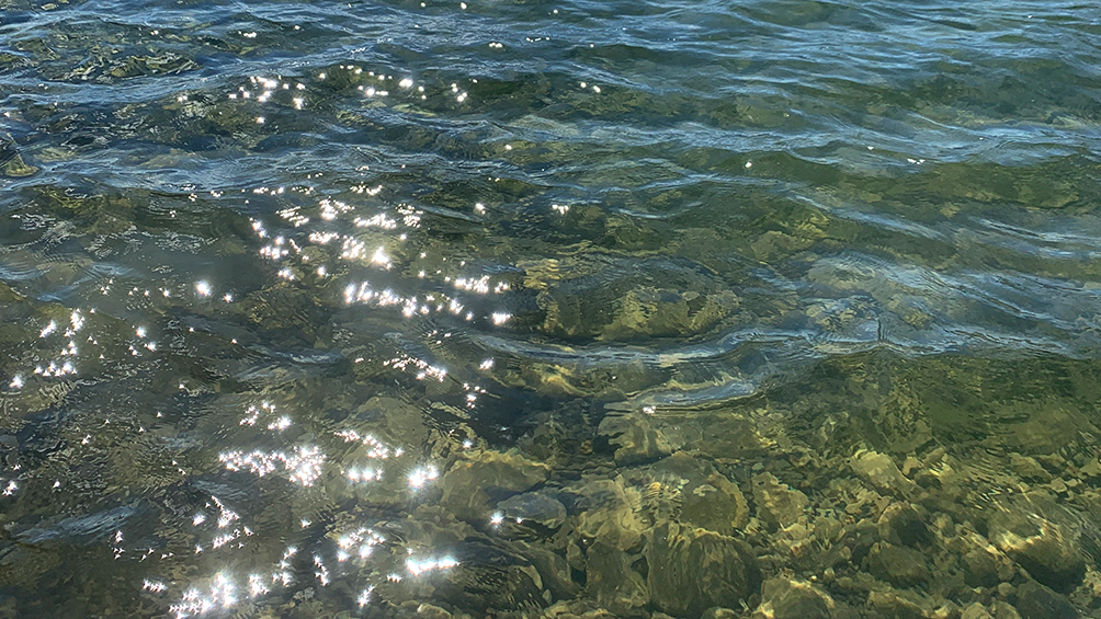 cpbc News : 깊이 깊이, 맑게 맑게