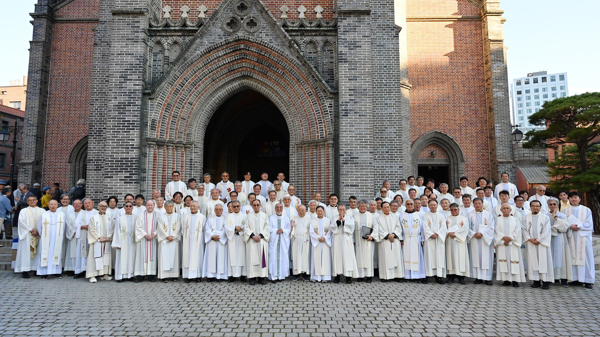 cpbc News : Catholic Priests' Association for Justice: 50 Years for the Vulnerable