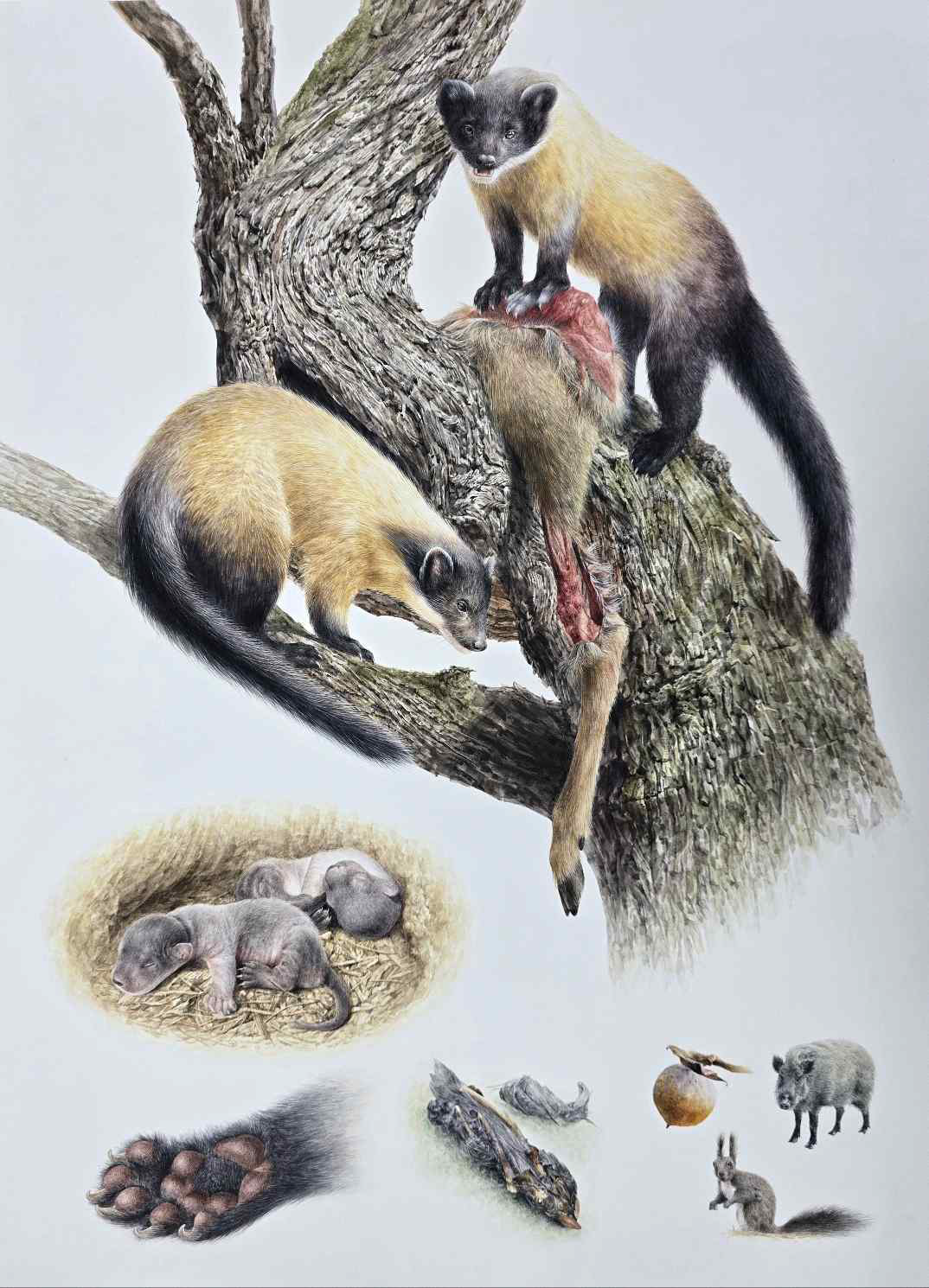 cpbc News : 손으로 그렸는데 실제보다 더 생생하네!