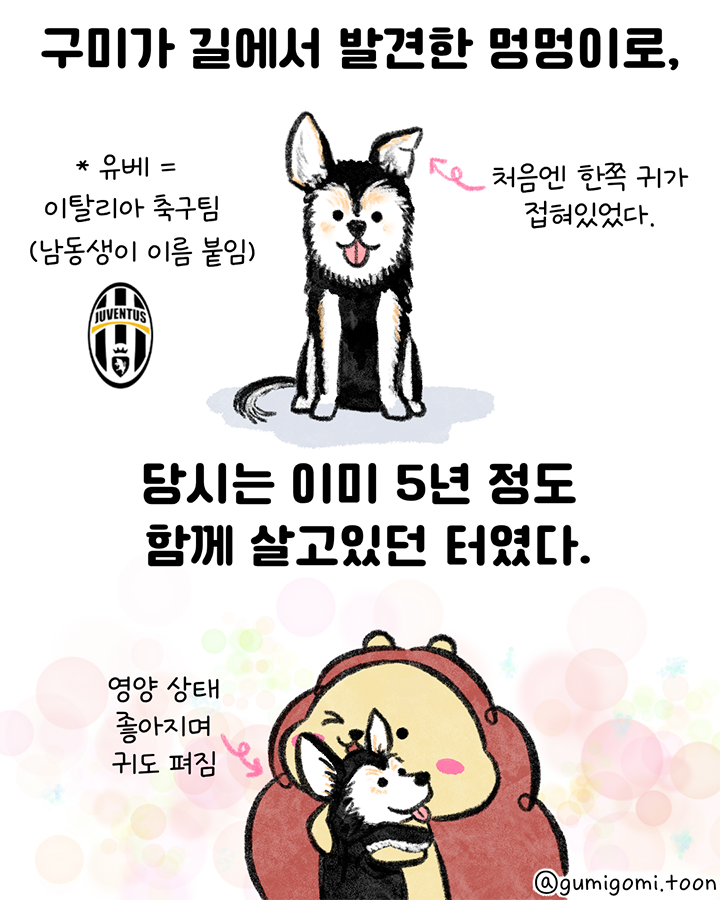 cpbc News : [세상 무해한 고슴도치 커플의 결혼장려툰 구미와 고미]-수녀원에 가다(2)