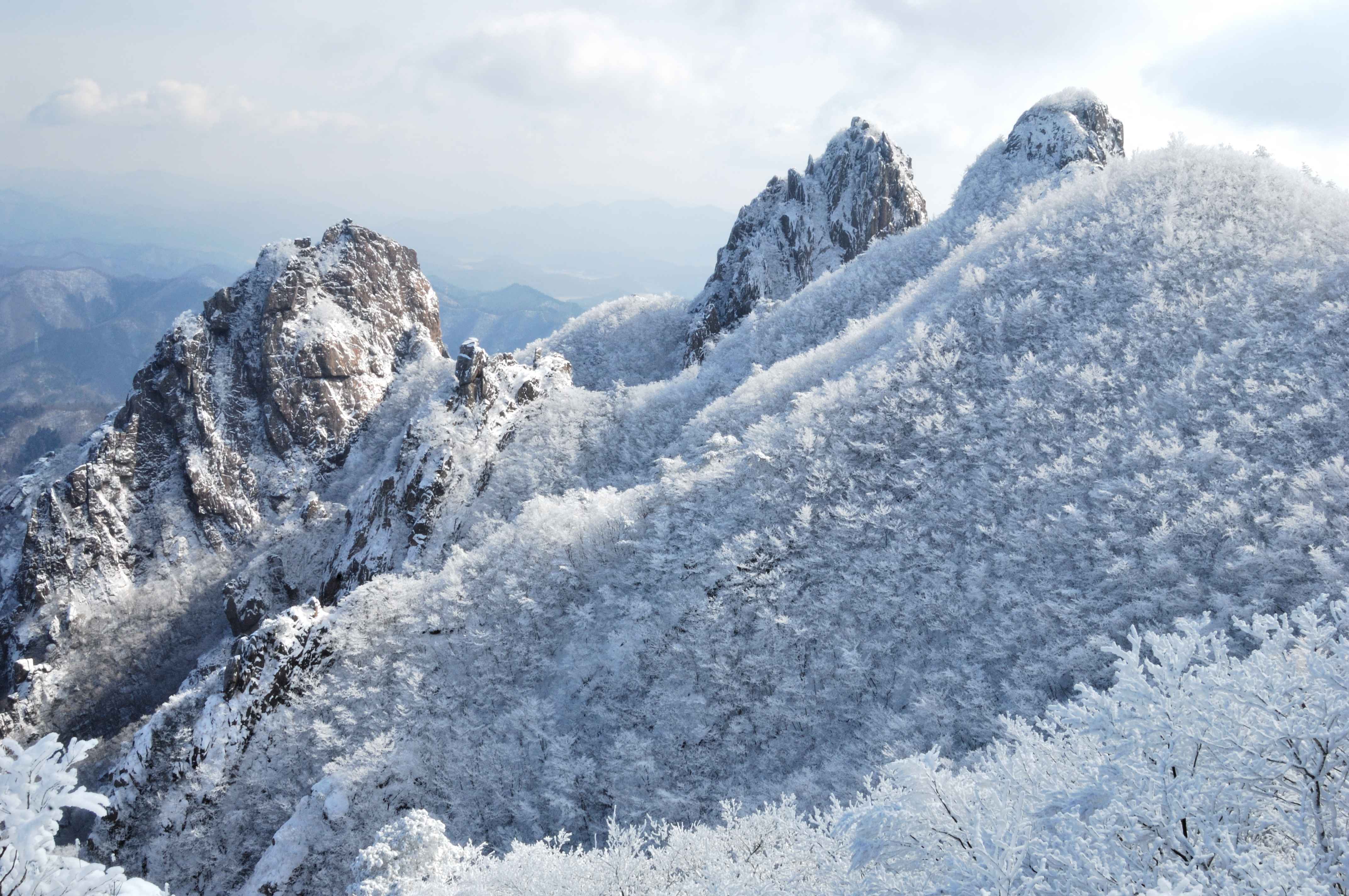 cpbc News : 산림청, 균형잡힌 산림정책 실현 위해 '산림정책협의회' 개최