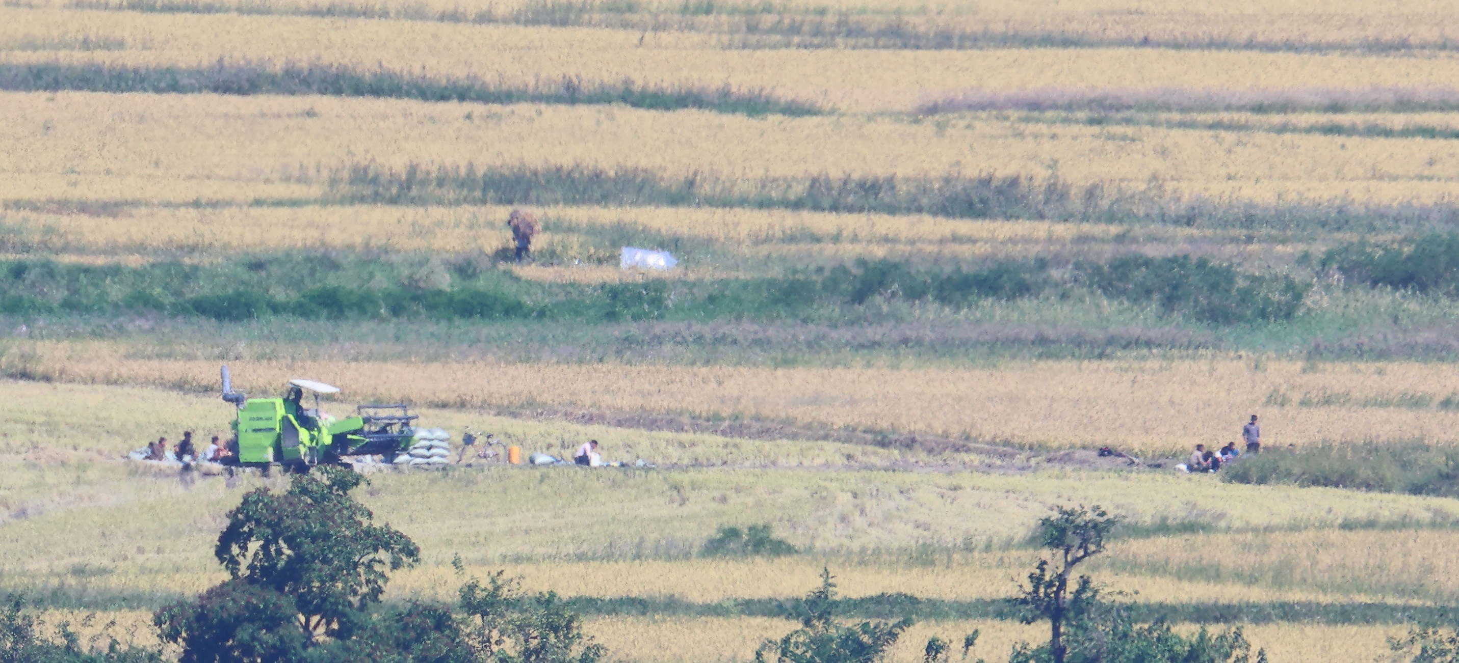 cpbc News : 국민 96% "북한 인권 상황 심각…개선 가능성 낮아"