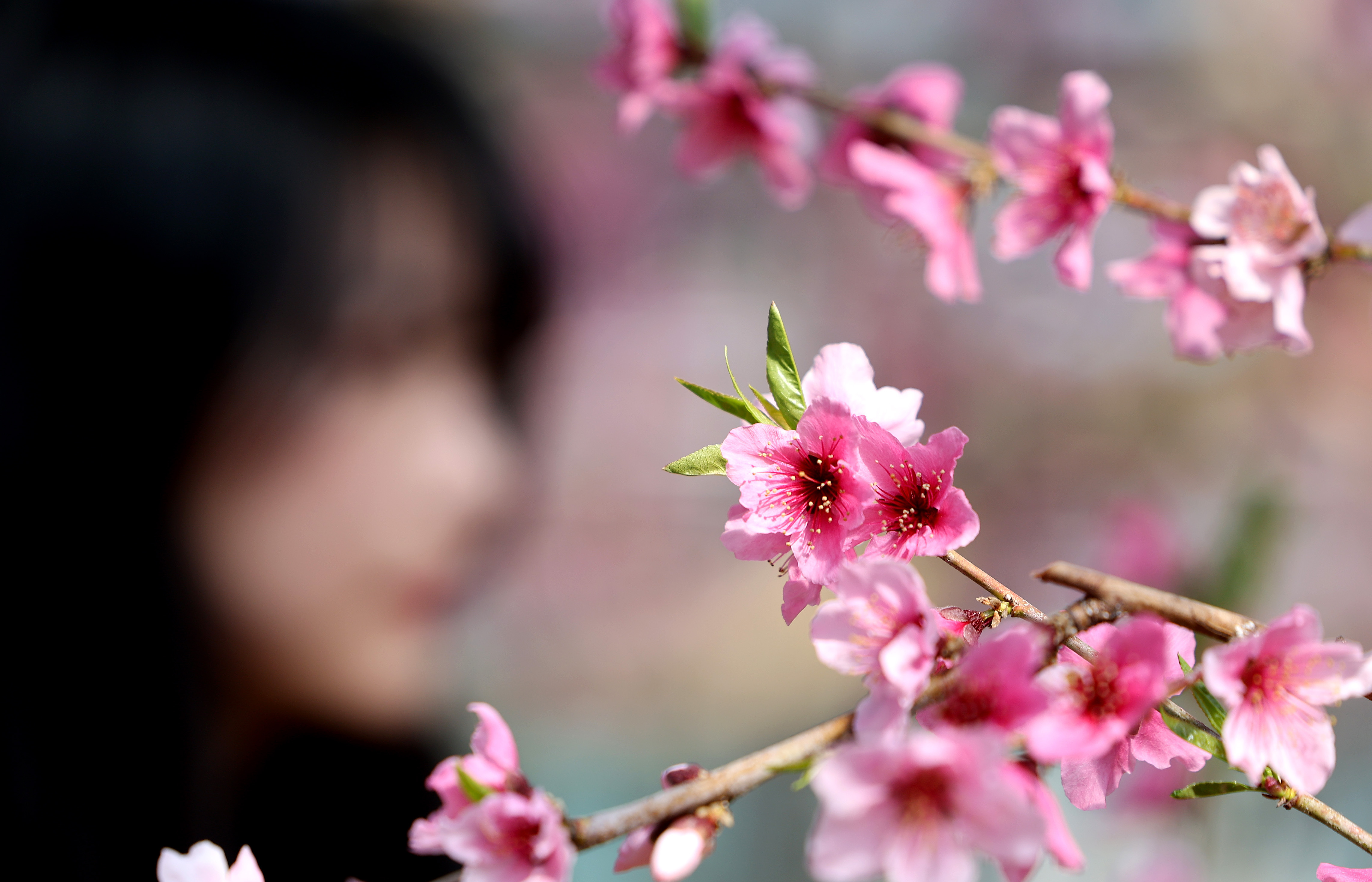 cpbc News : [날씨] 전국 맑고 따뜻…평년 기온 웃돌아