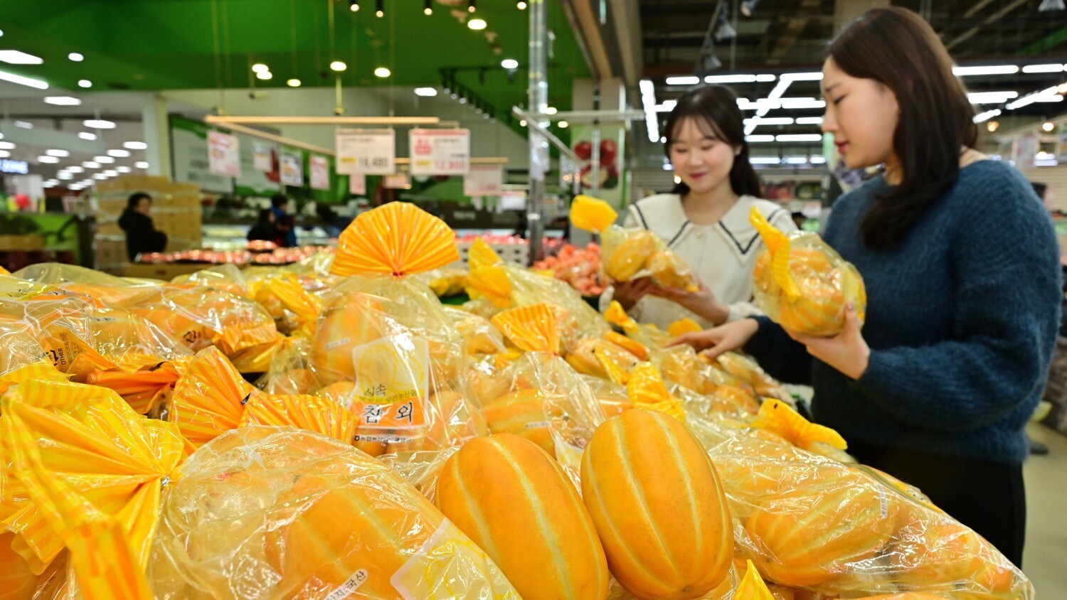 cpbc News : 베트남 국민 입맛 사로잡을 한국 참외 …첫 수출