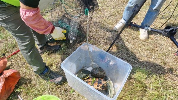 cpbc News : 유입주의 생물 10년간 15배 늘어